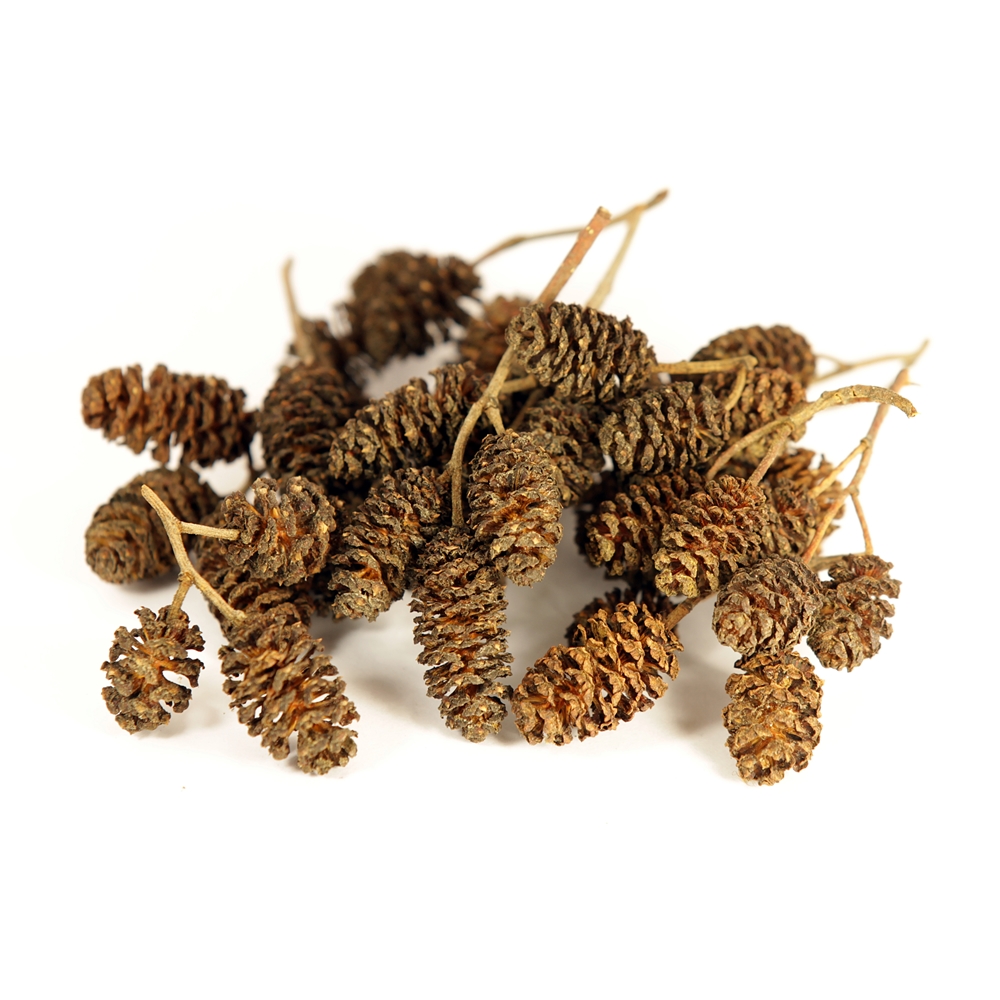 Alder Cones 20 Grams / Approx 70 - 100 cones 7625685050169 | eBay